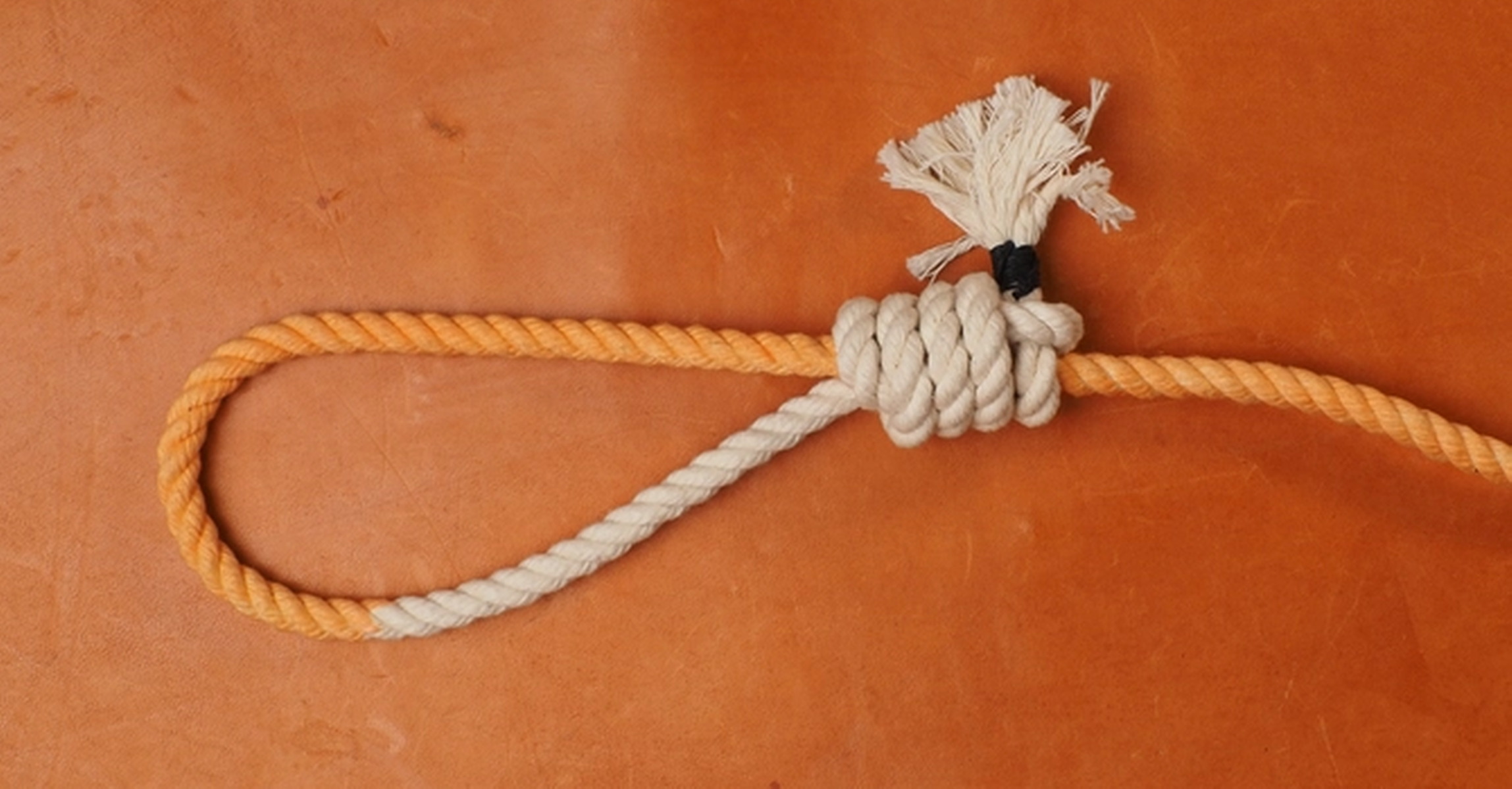 Hängsnara